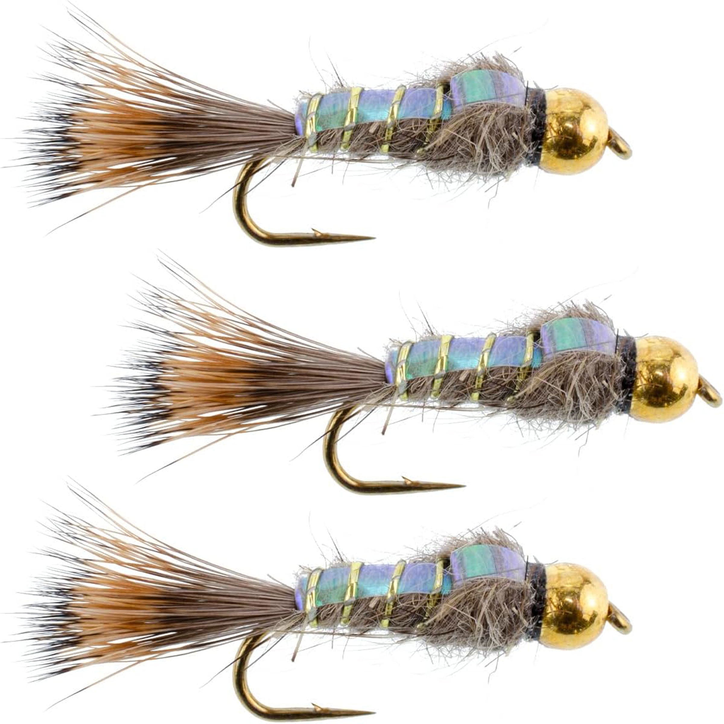 Nymph Uk