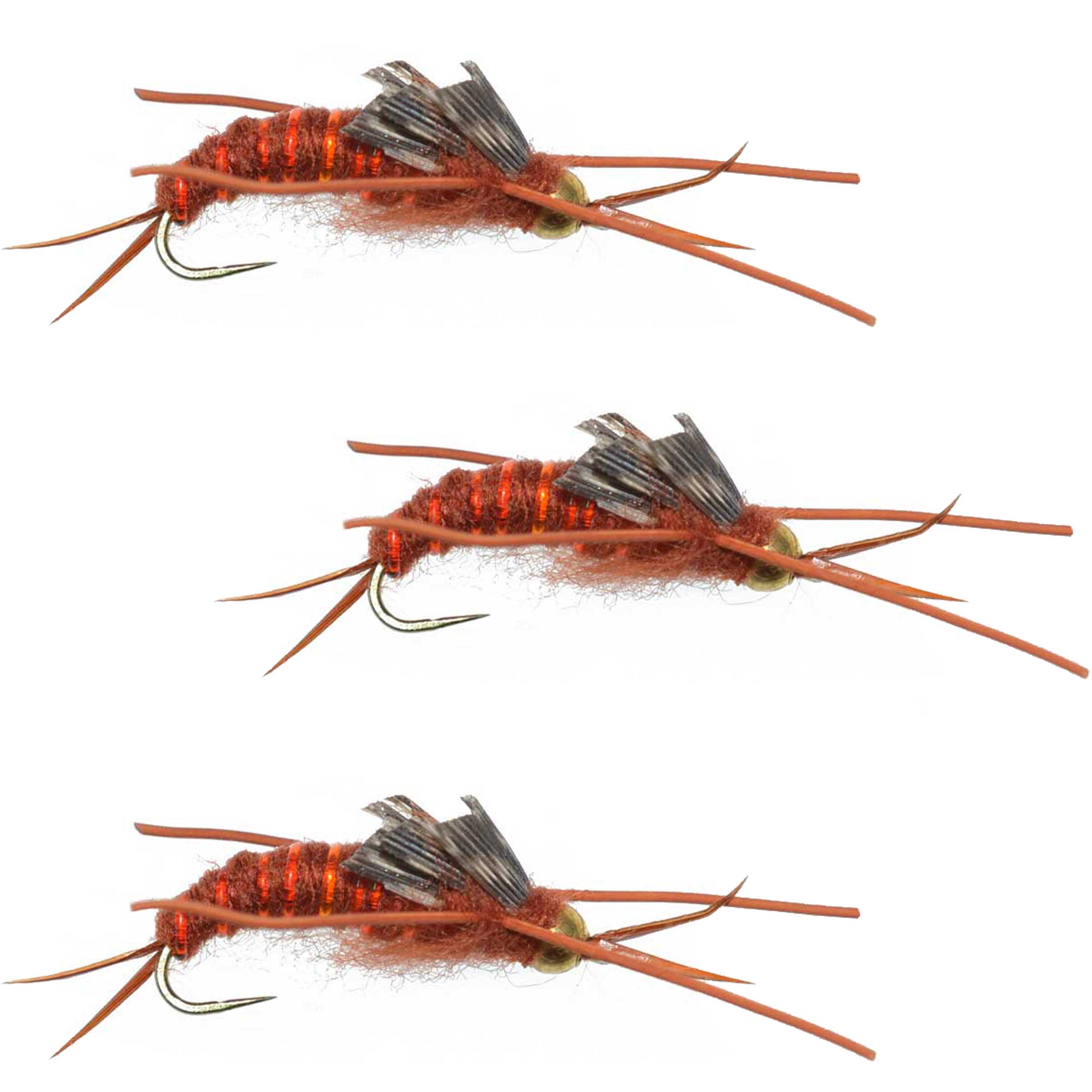 3 Pack Barbless Gold Bead Kaufmann's Brown Stone Fly with Rubber Legs – Outdoor America