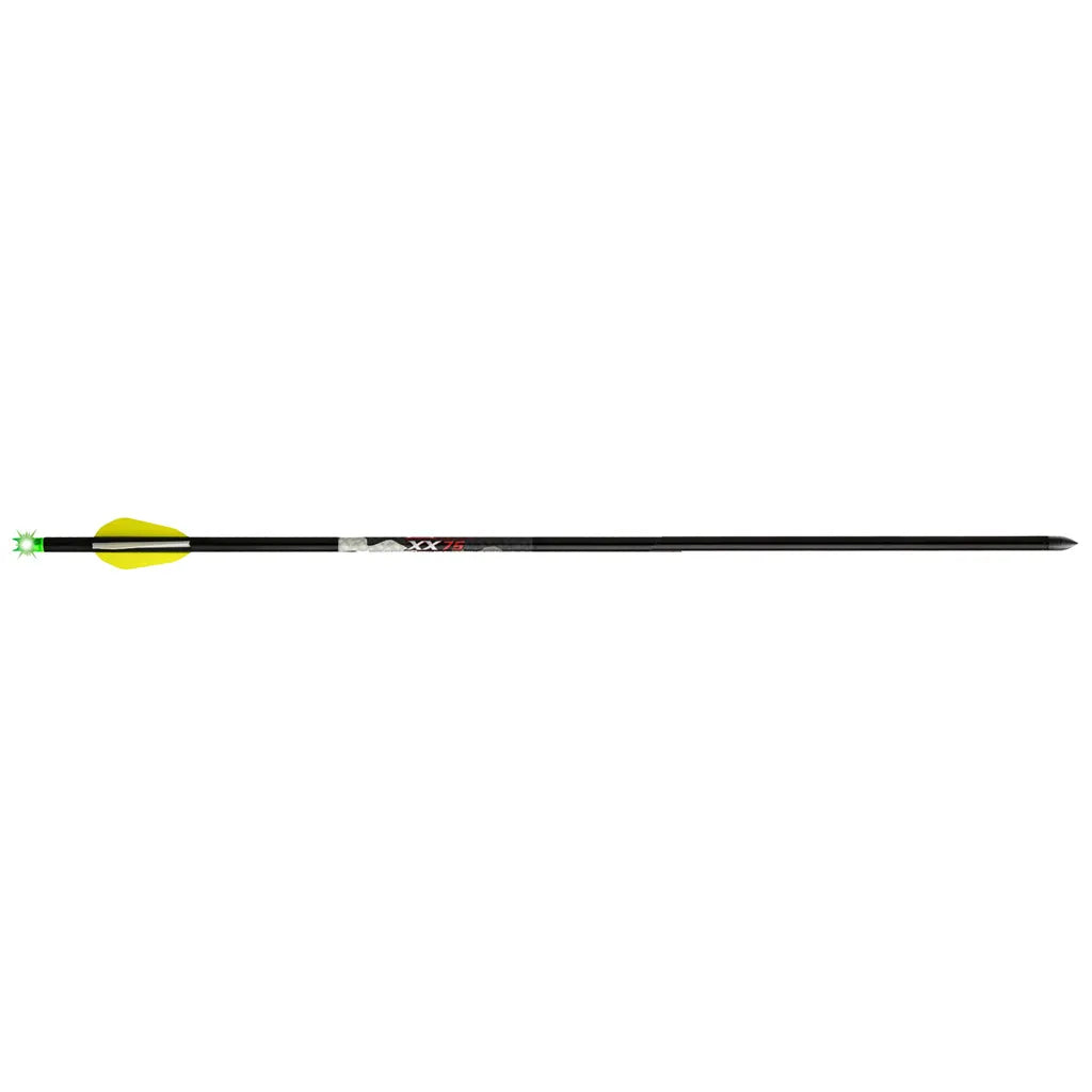 Wicked Ridge Lighted Alpha Brite Arrows – Outdoor America