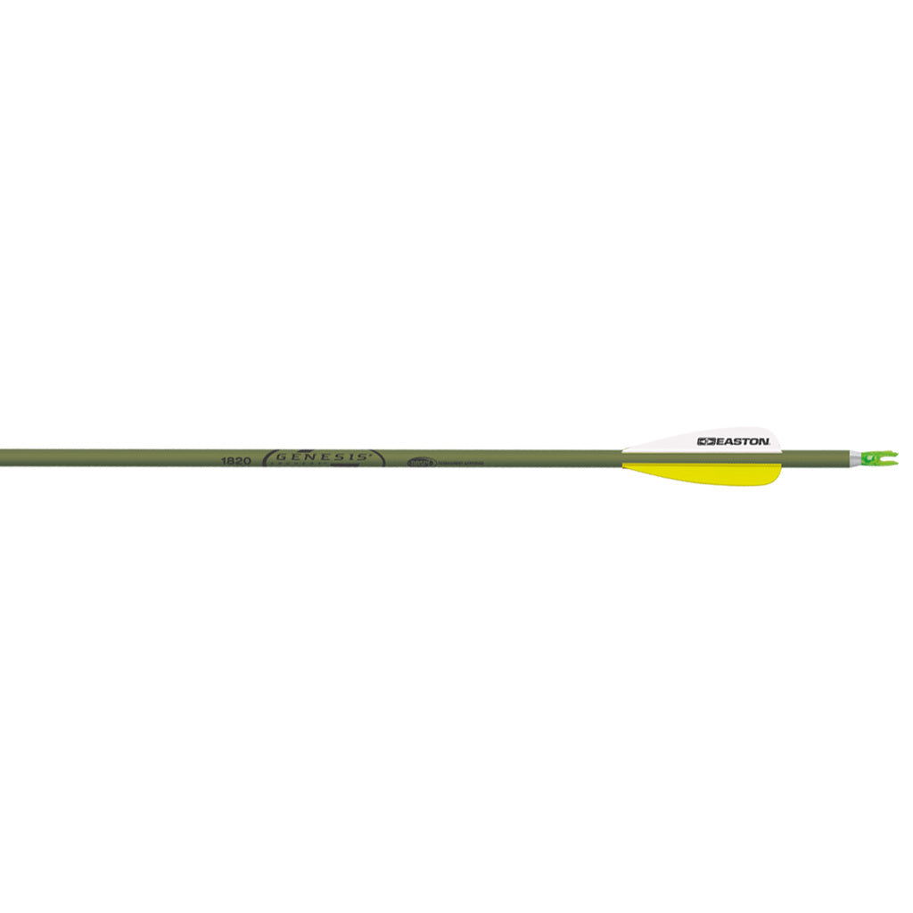 Easton Genesis Arrows – Outdoor America