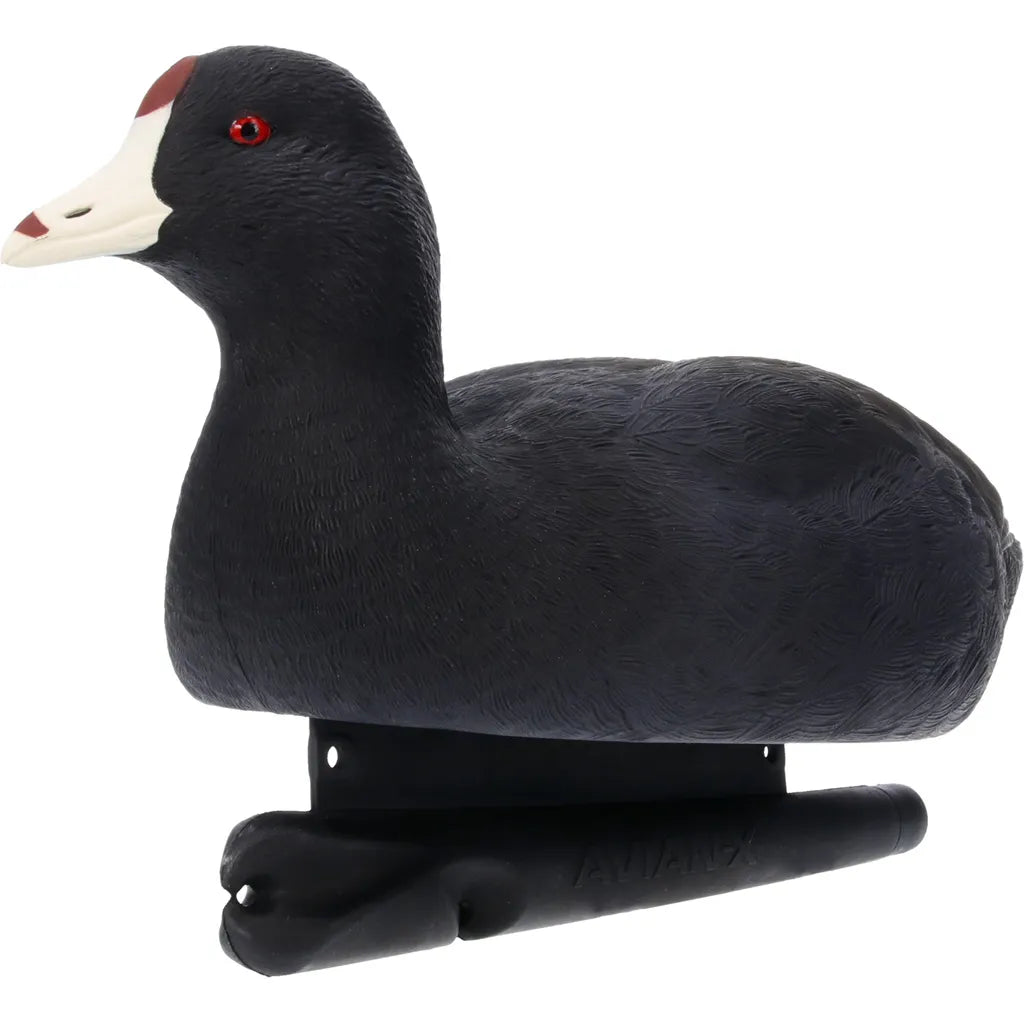 Avian X Topflight Coot Floating Decoy – Outdoor America