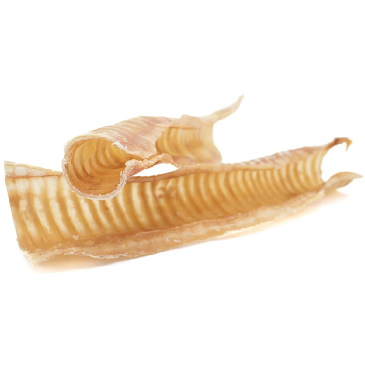 12 Inch Beef Trachea – Outdoor America