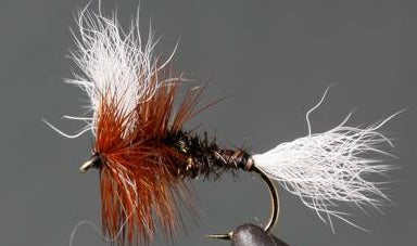 H & L Variant – Outdoor America