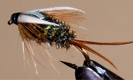 Prince Nymph – Outdoor America
