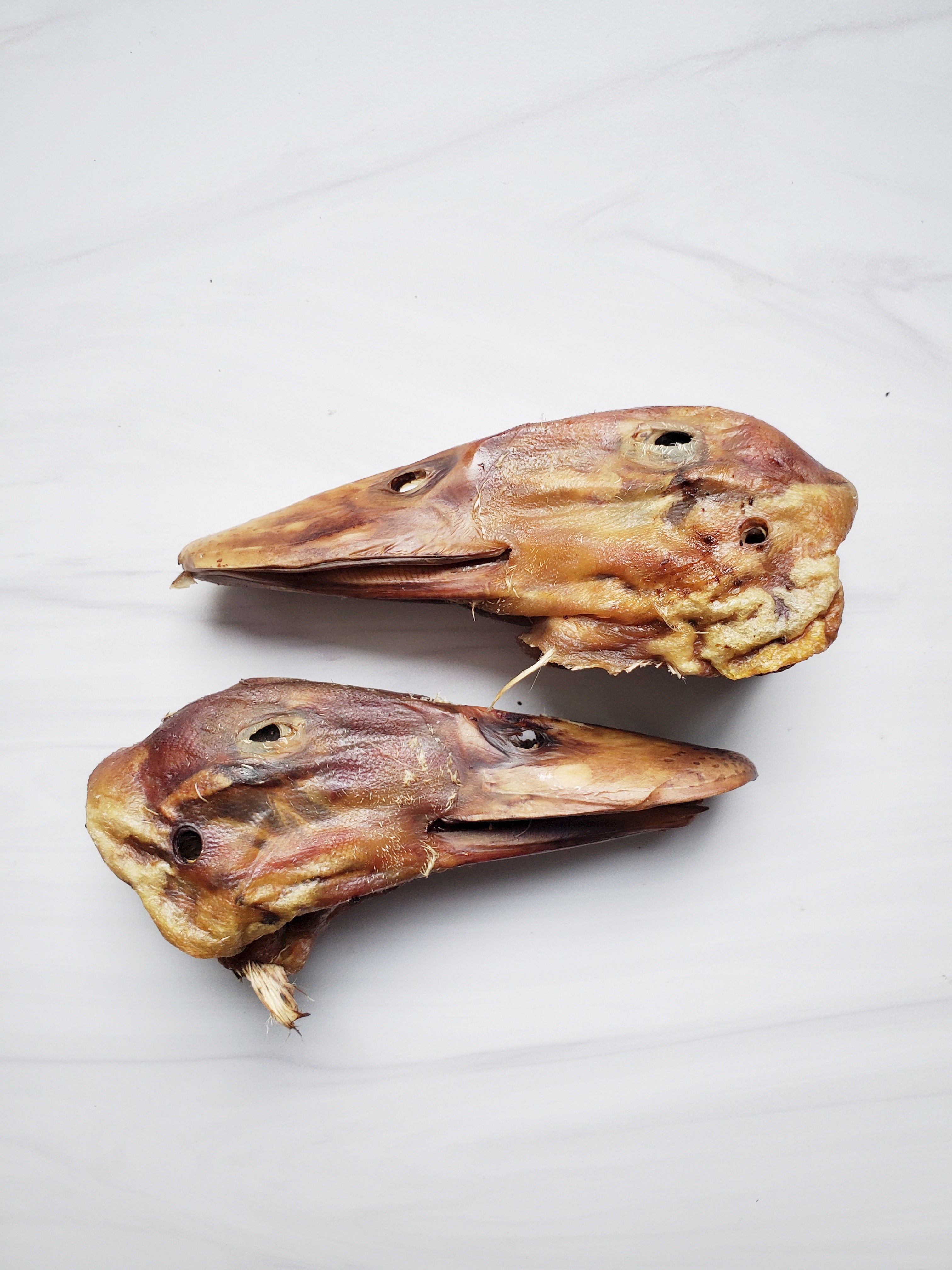 Duck Heads (ABF) – Outdoor America