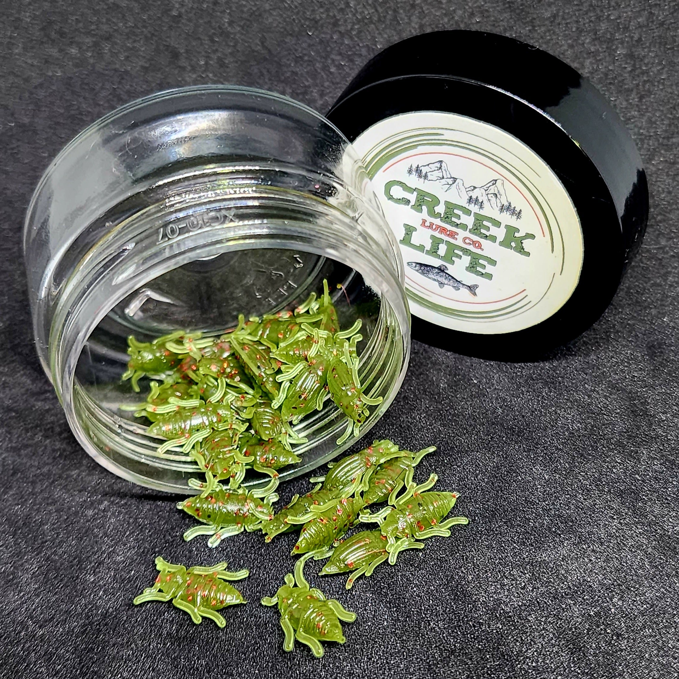 Jar of 0.5" Half Inch Micro Beetle "Toe Biter" – Outdoor America