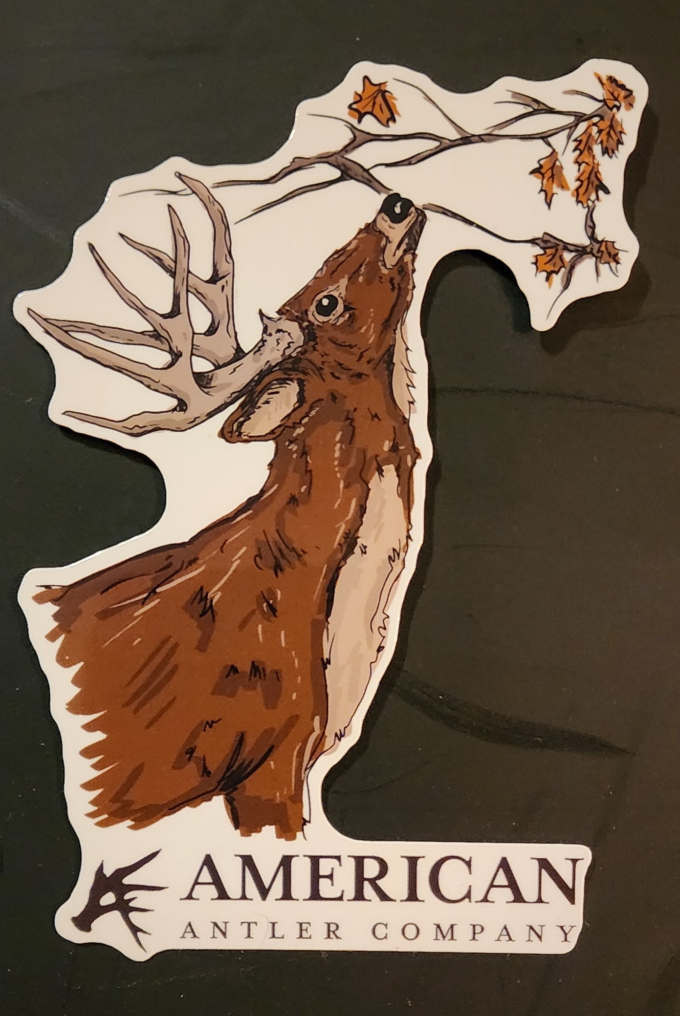 Buck Scrape sticker – Outdoor America