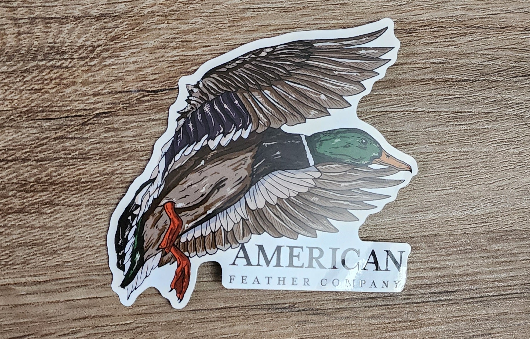 Mallard sticker – Outdoor America