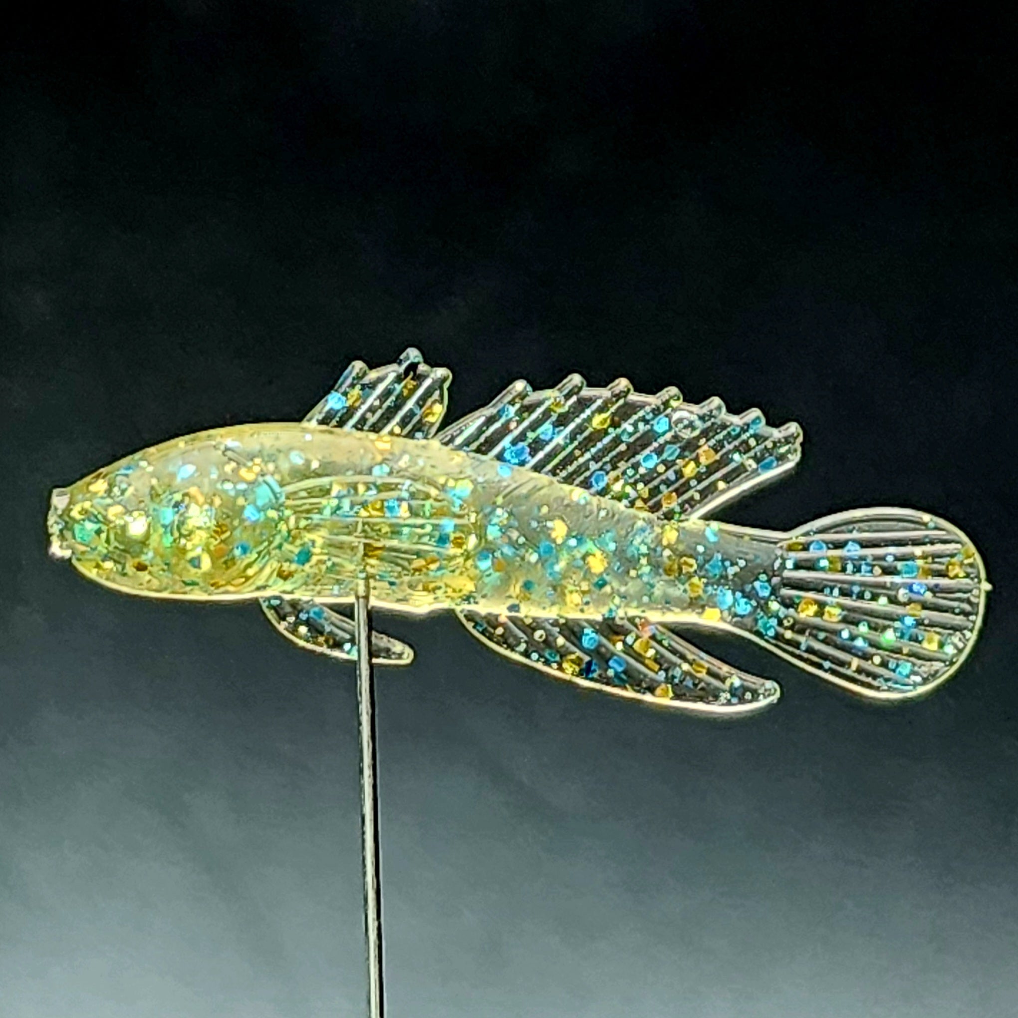 Jar of 1.5" Darter "The Stream Dancer" – Outdoor America