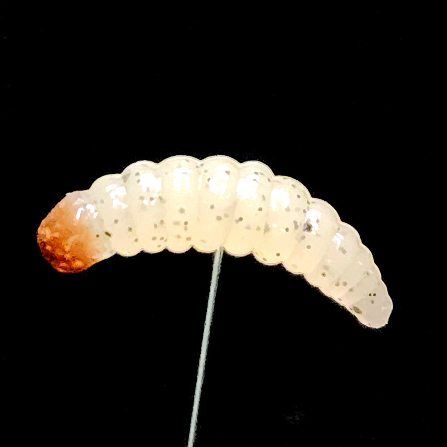 1" Realistic Waxworm "The Tater Bug" – Outdoor America