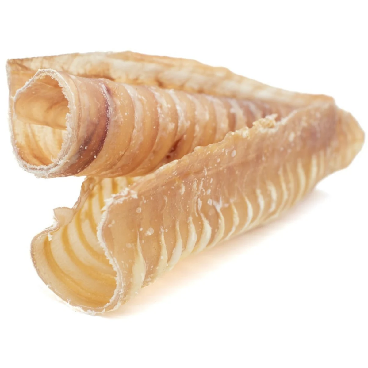 6 Inch Beef Trachea – Outdoor America