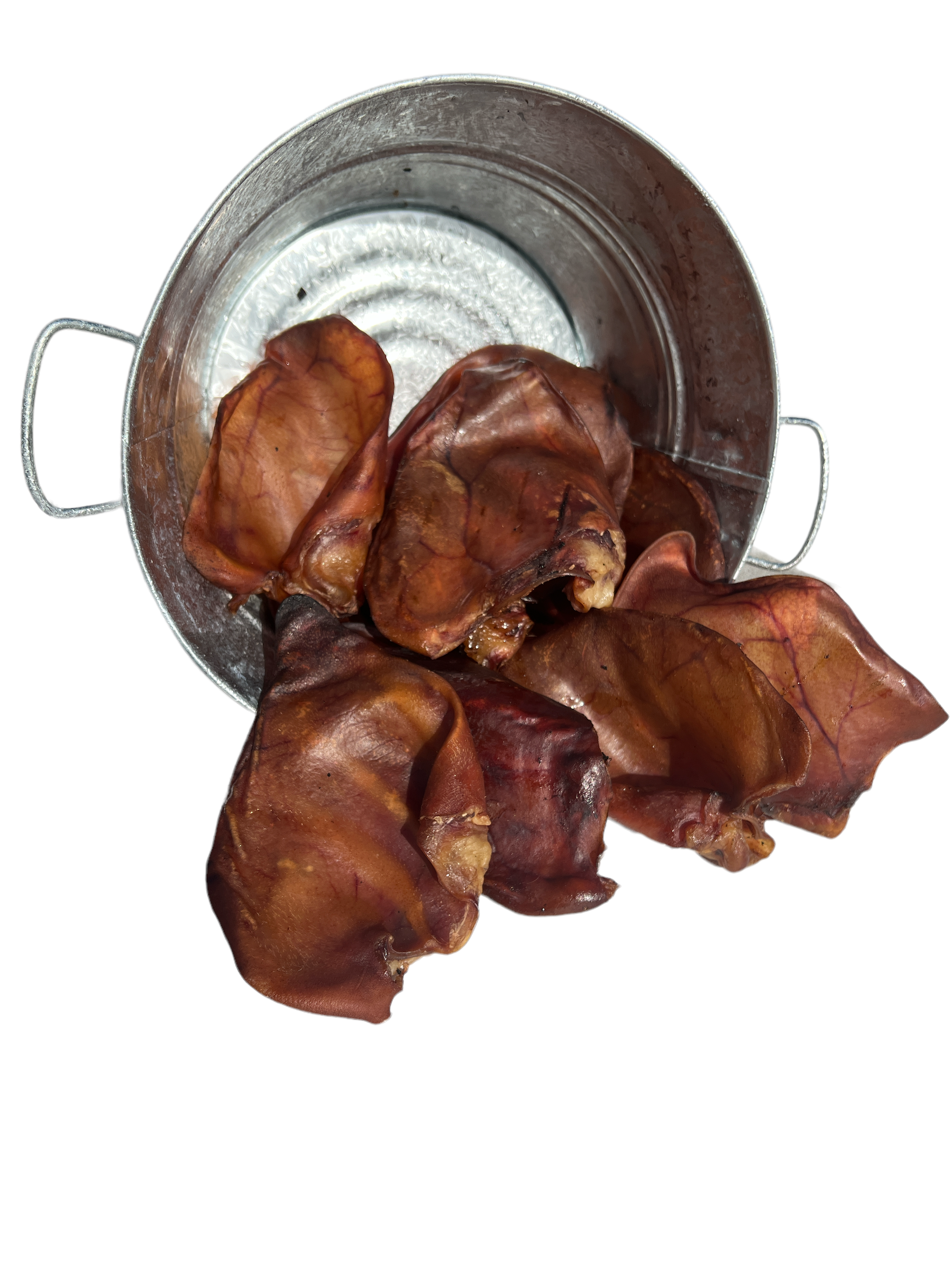Pig Ear – Outdoor America
