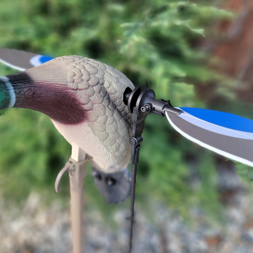 Animator V2 for Mojo Baby & Original Teal – Outdoor America