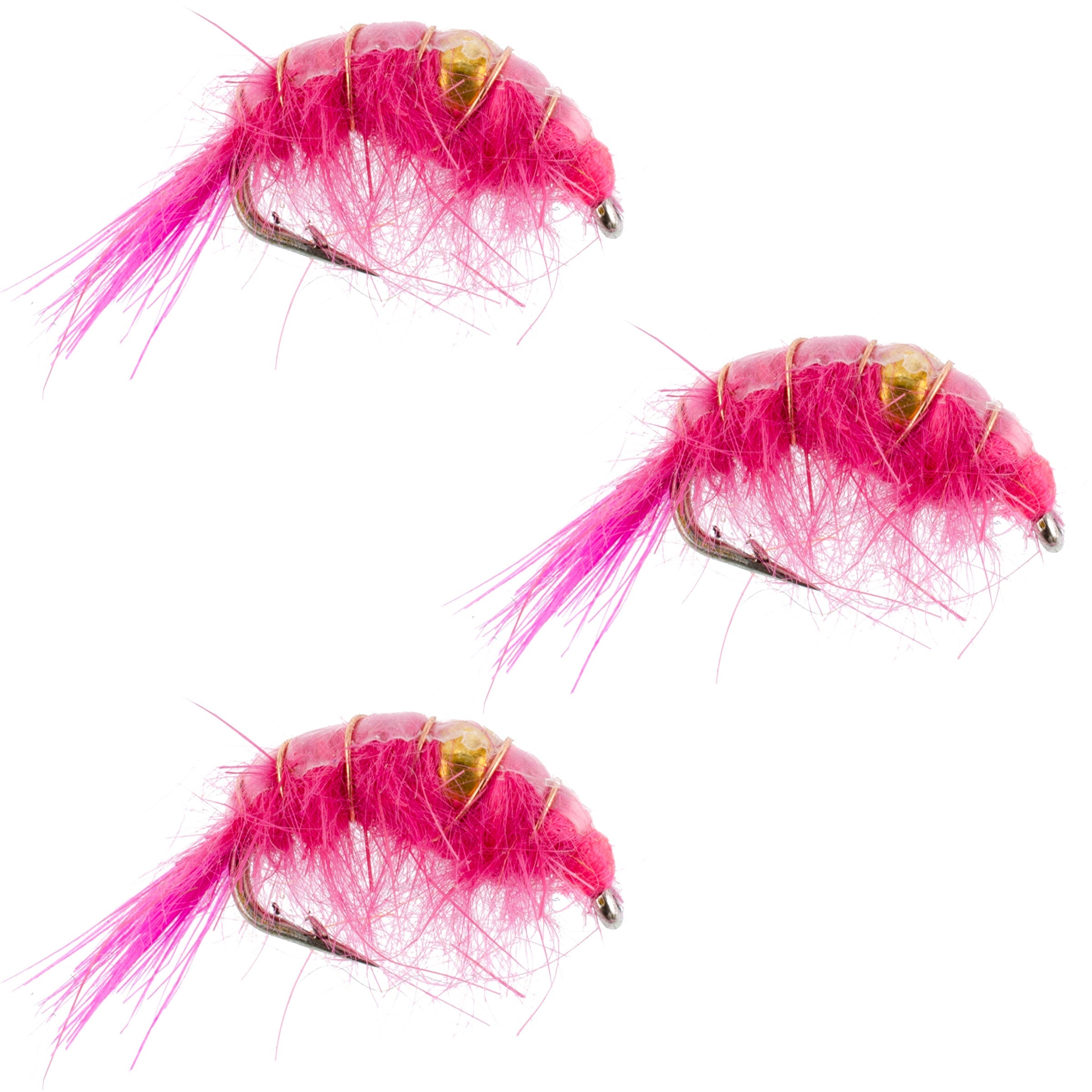 3 Pack Pink Beaded Shrimp Scud Pattern - Size 12 - Tailwater Lake Fly ...