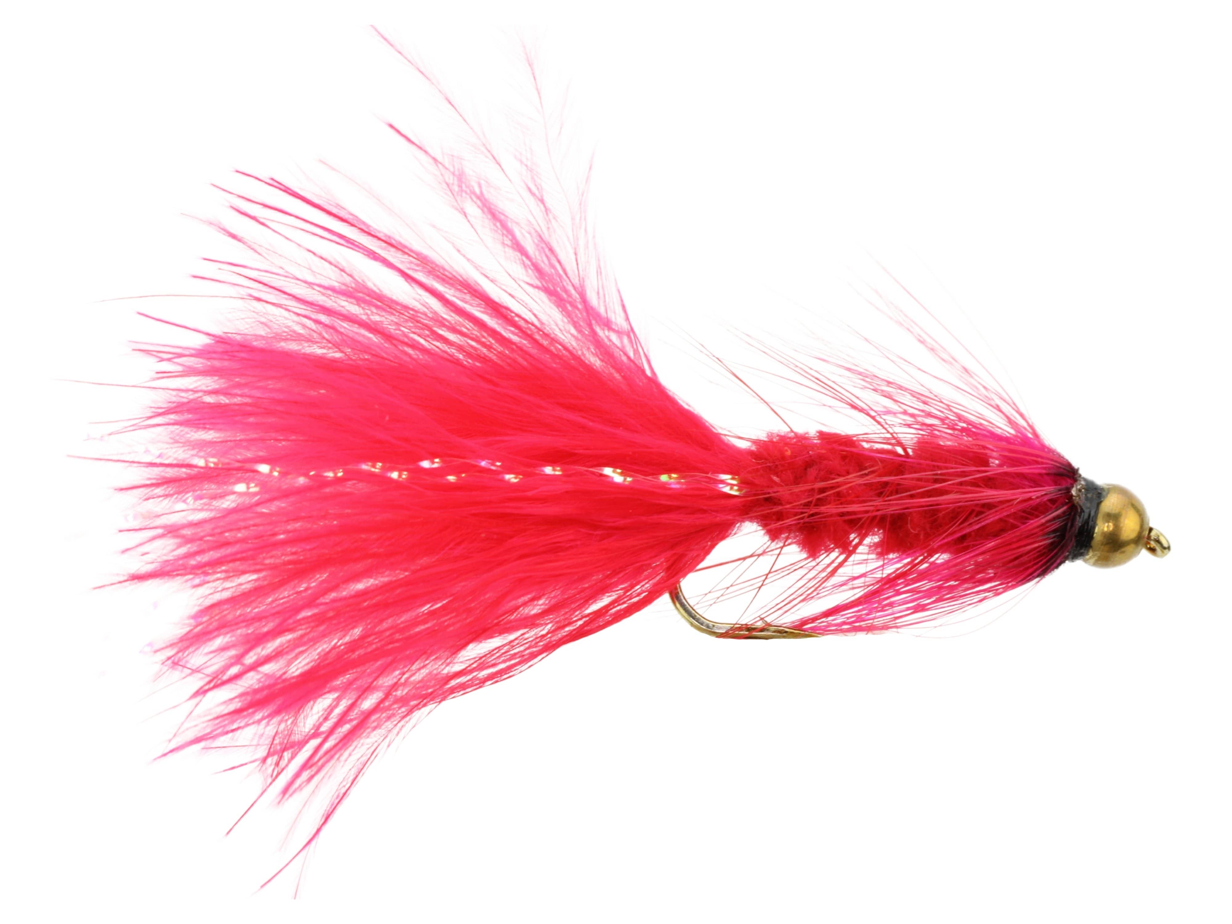 Wooly Bugger w/ Bead Head, Size 10 | Red | Qty. 6 | Wild Water Fly Fis ...