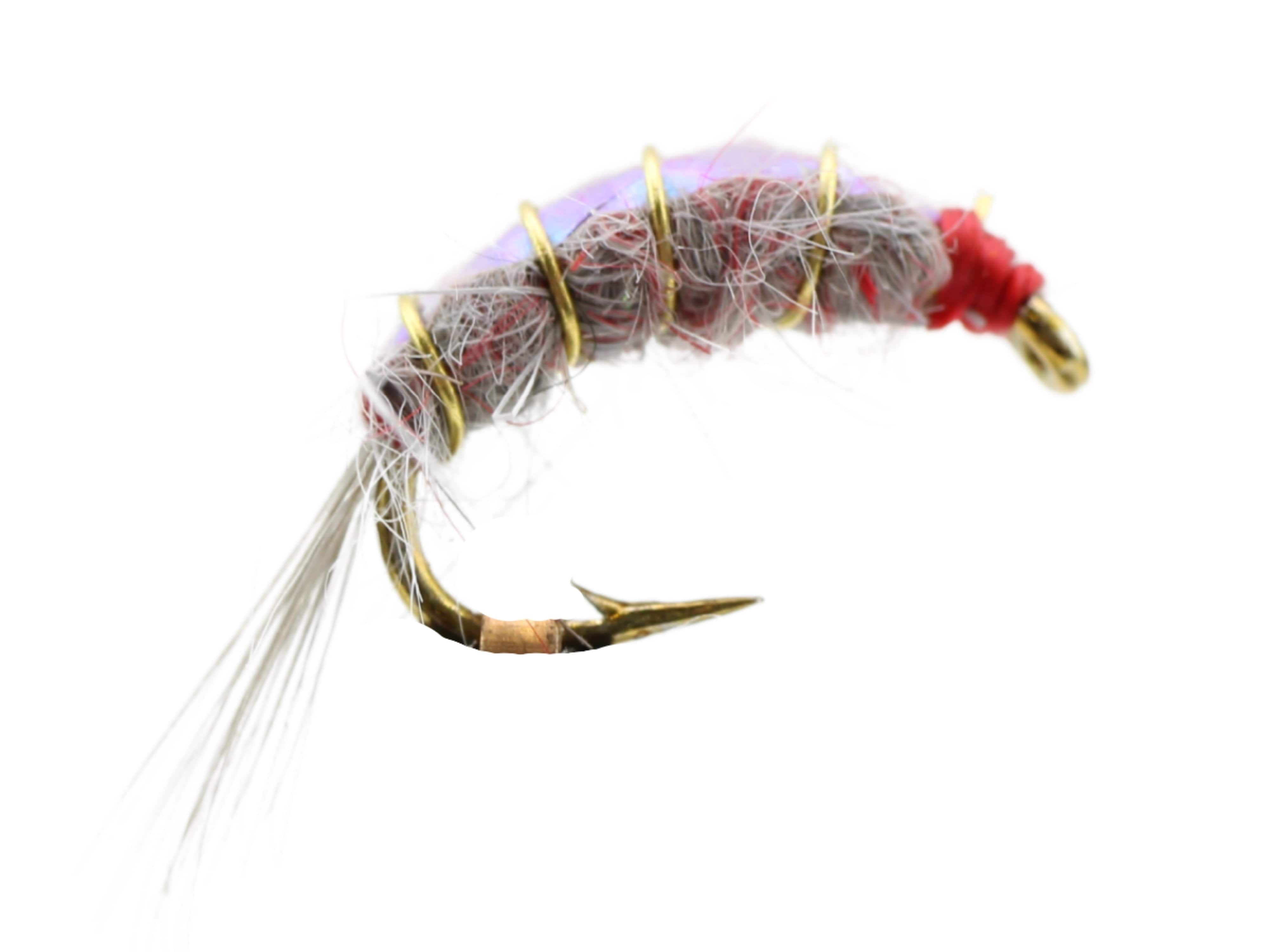 Gooey Big Horn Scud, Size 16 | Qty. 6 | Wild Water Fly Fishing ...