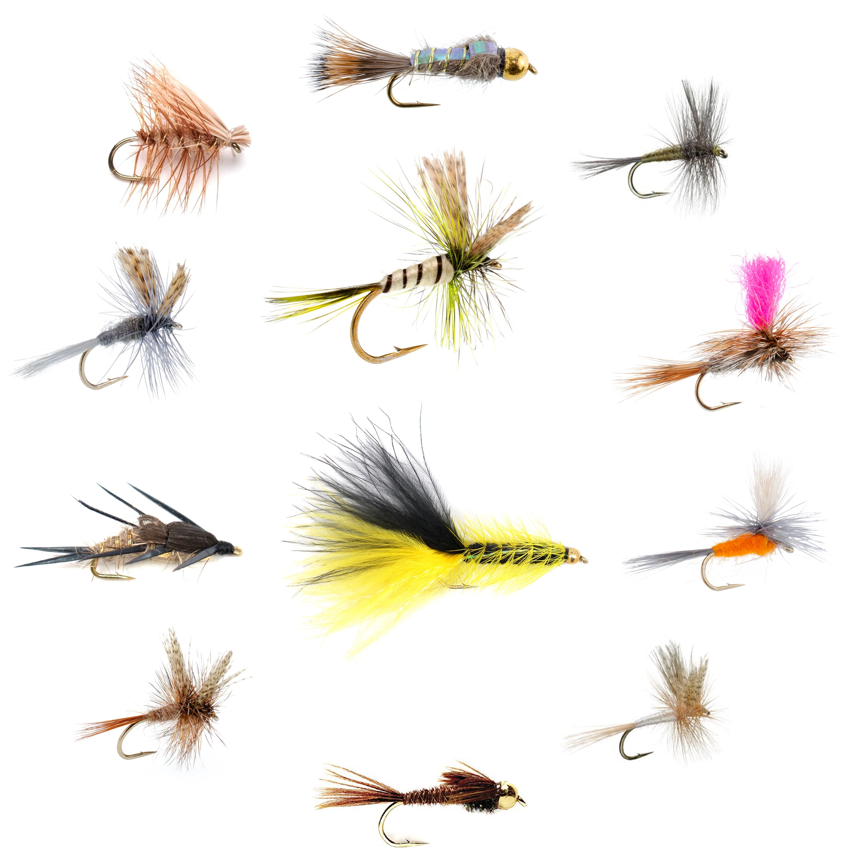 Eastern Trout Fly Assortment - 12 Essential Dry and Nymph Fly Fishing ...