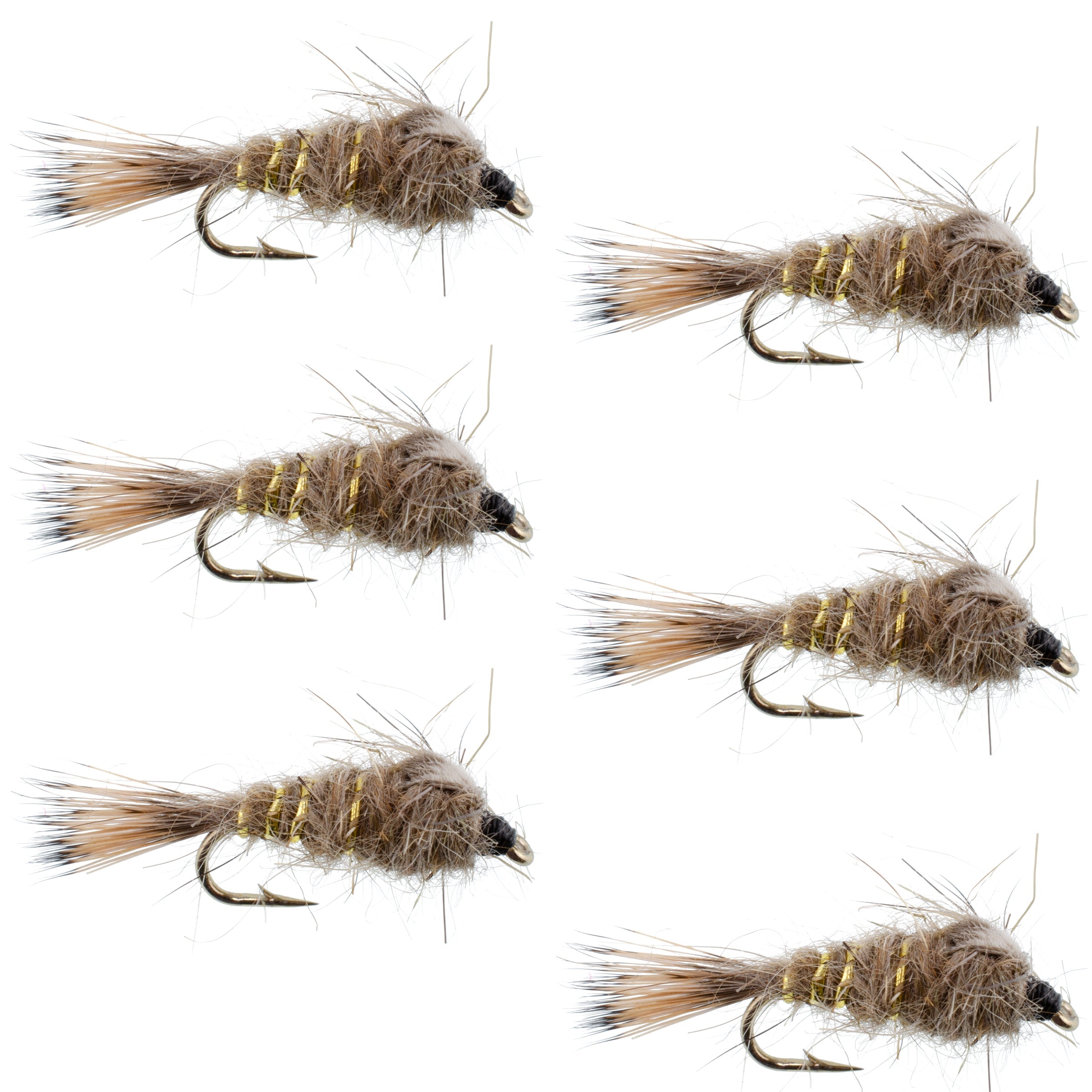 Classic Weighted Gold Ribbed Hares Ear Nymph - Set of 6 Flies - Size 1 ...