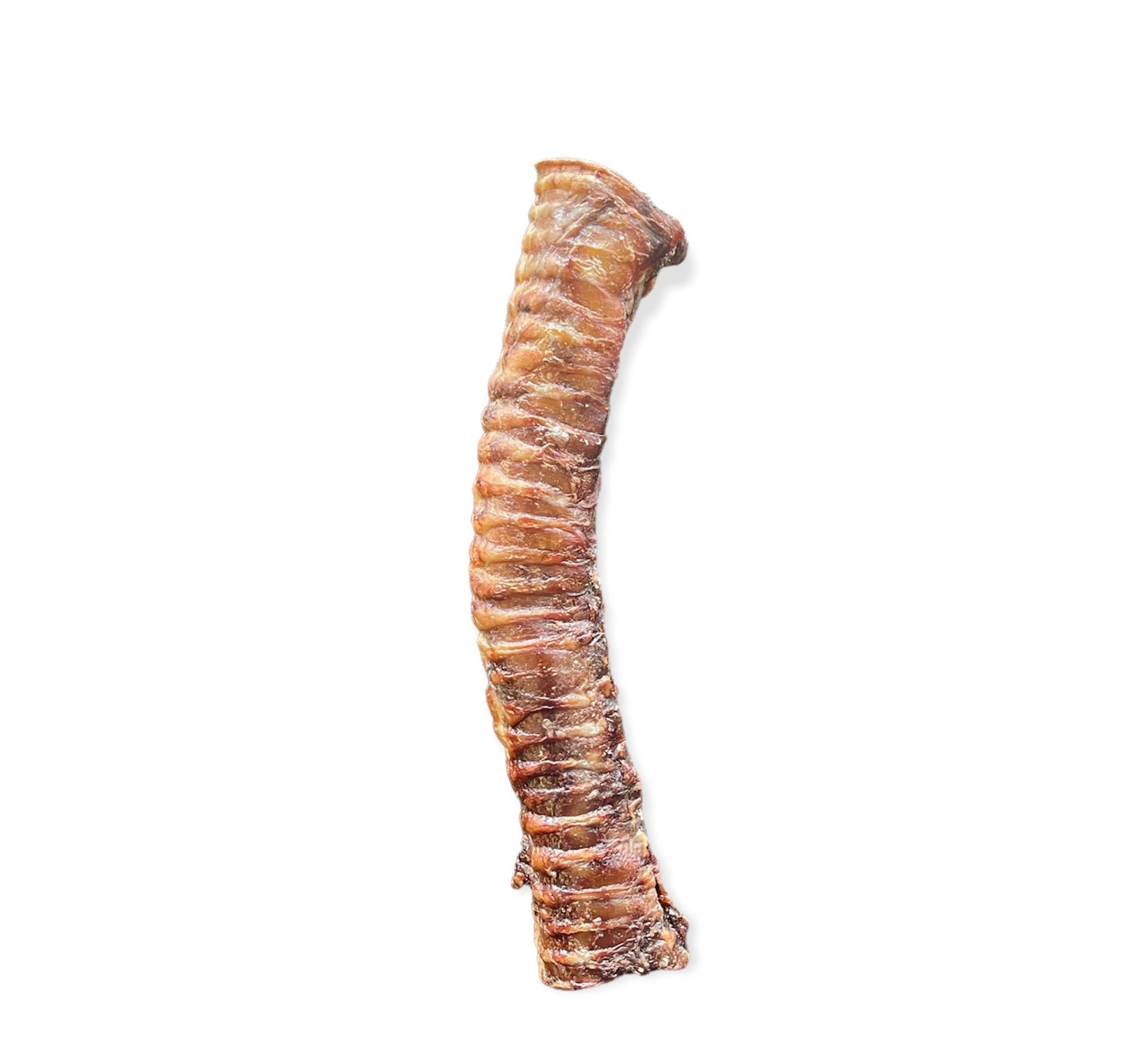 Beef Trachea – Outdoor America
