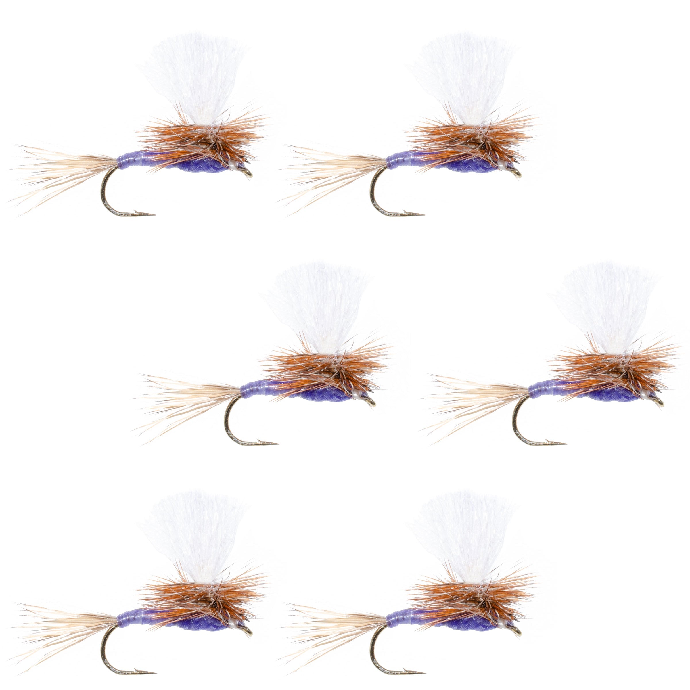 Parachute Purple Haze Dry Fly - 6 Flies Size 14 – Outdoor America