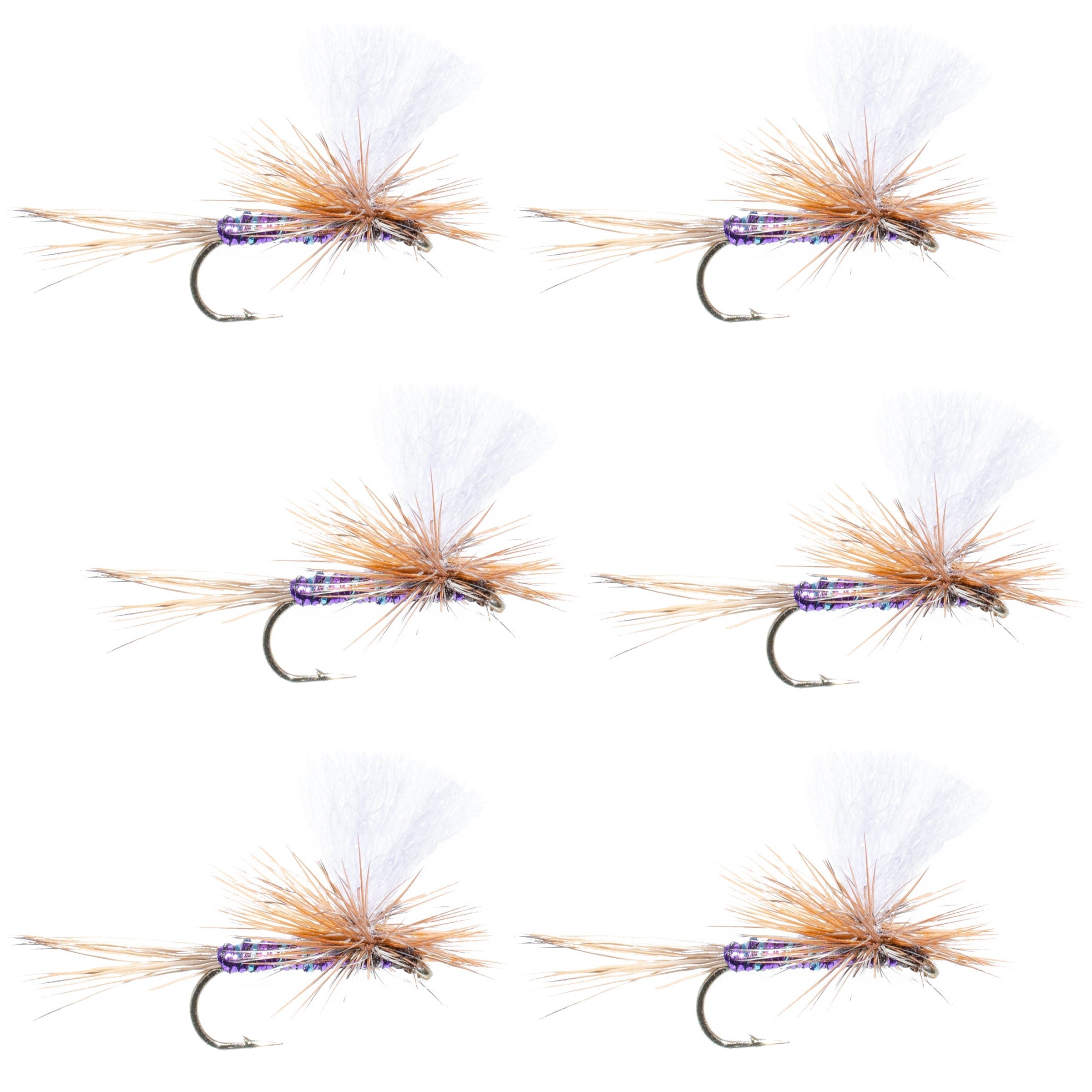 Parachute Super Flash Purple Haze Dry Fly - 6 Flies Size 14 – Outdoor ...