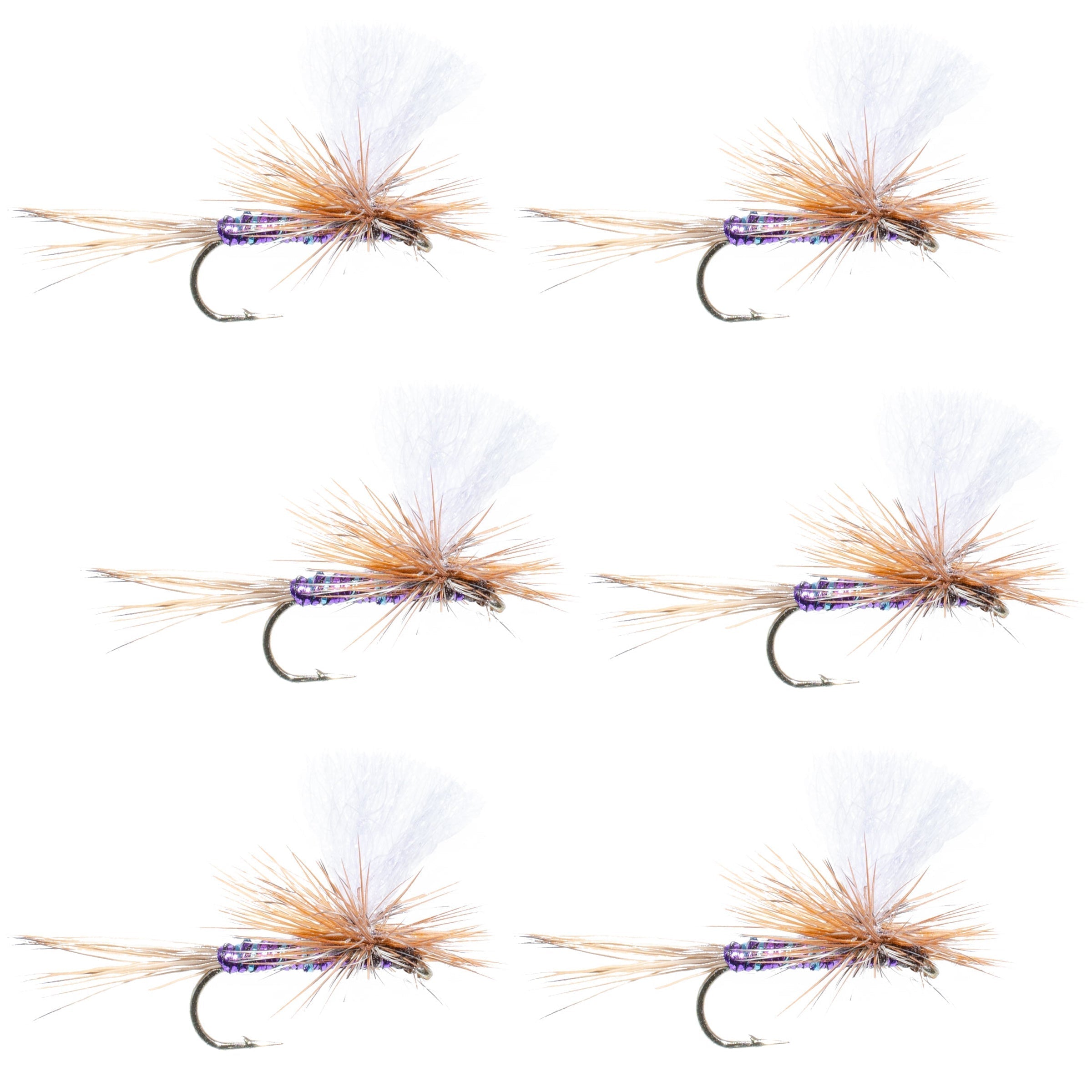 Parachute Super Flash Purple Haze Dry Fly - 6 Flies Size 12 – Outdoor ...