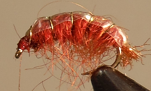 Scuds – Outdoor America