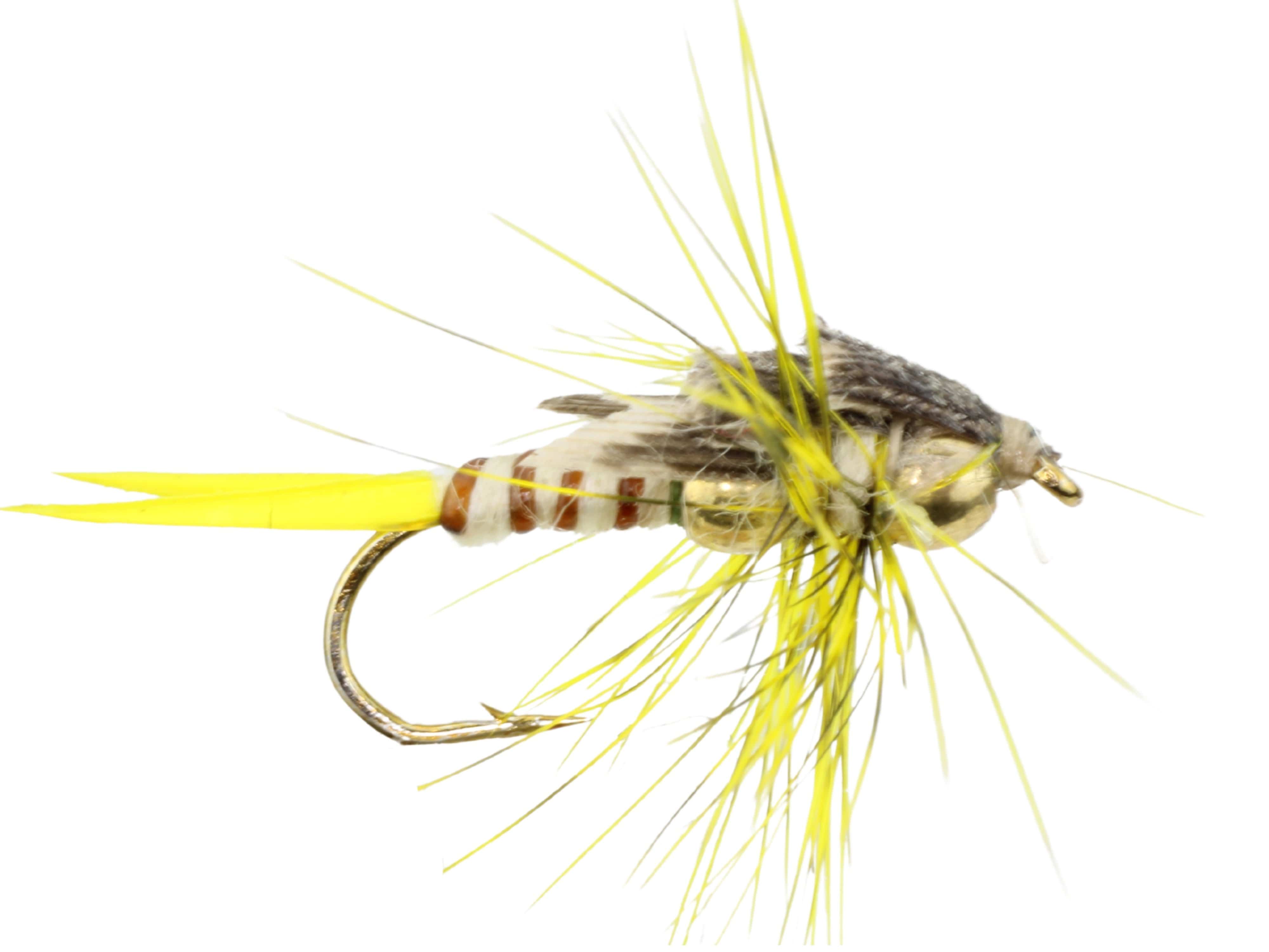 Beaded Stonefly, size 12 | Yellow | Qty. 6 | Wild Water Fly Fishing ...