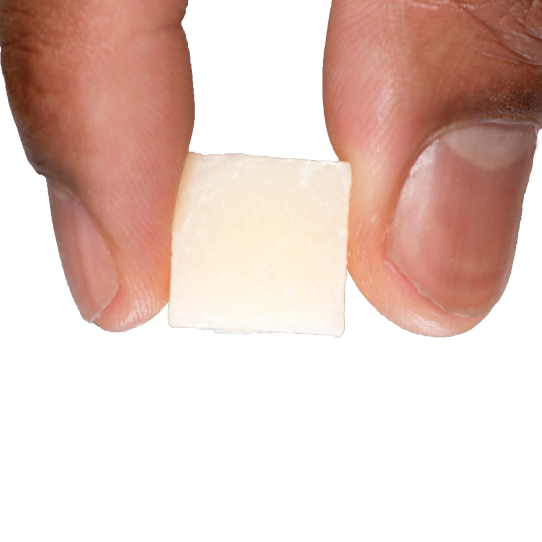 Skipjack Catfish Bait – Outdoor America